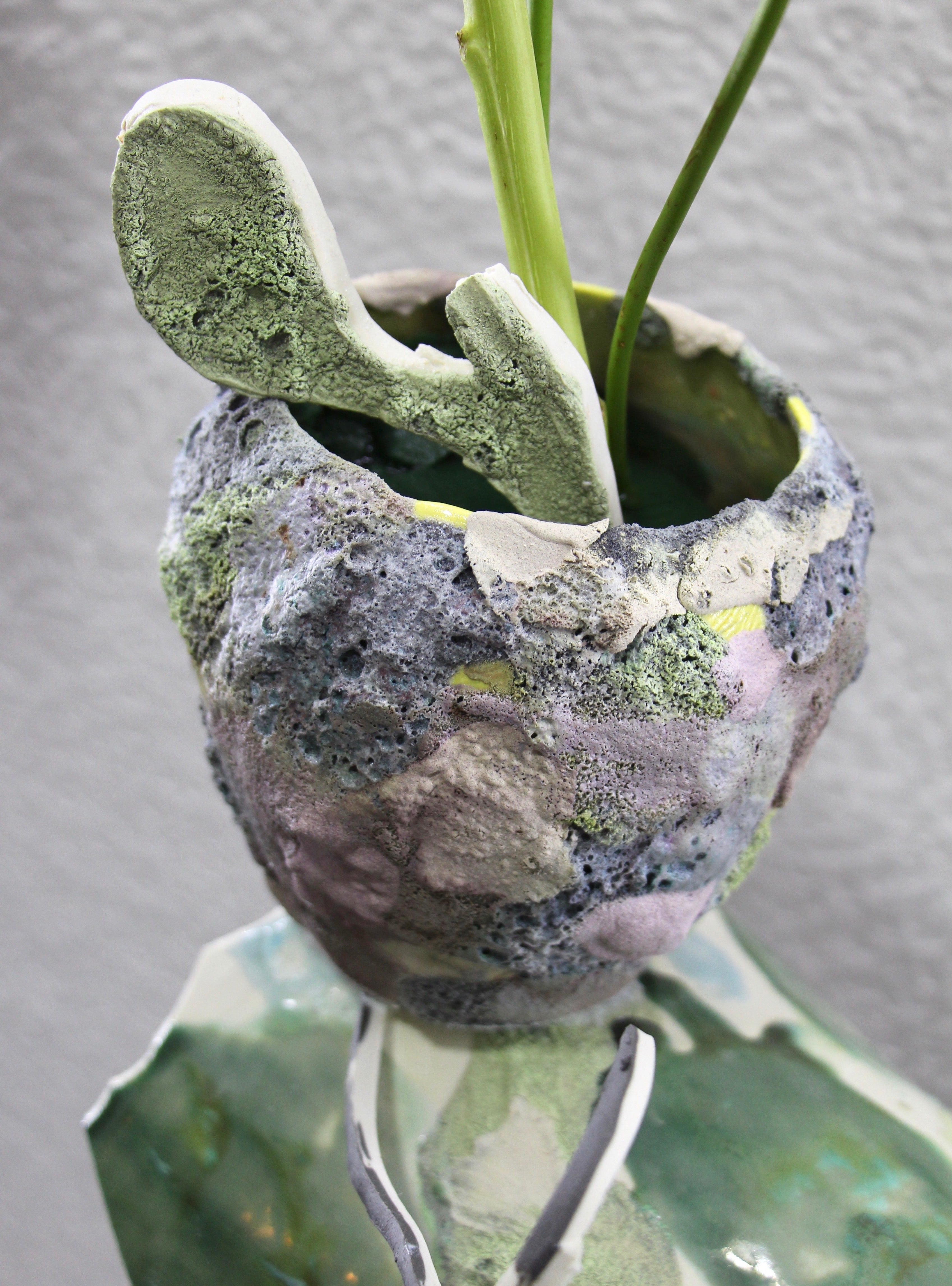 Come Afuera -with Sarah Esme Harrison- Chloro MX- Mexico City – Ester R ...